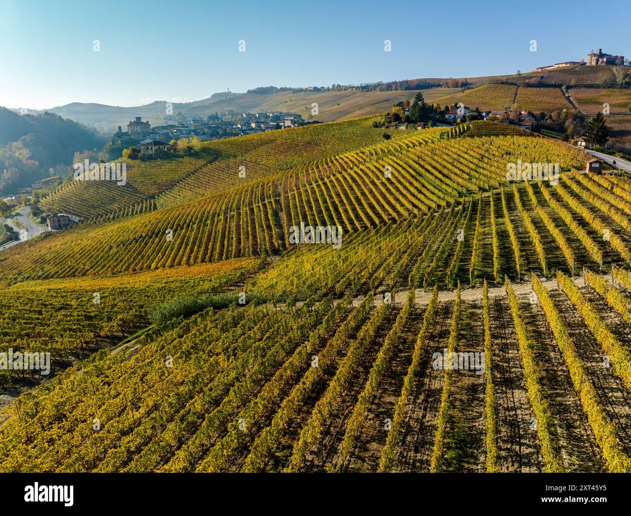 Agriculture vineyard aerial hi-res stock photography and images - Alamy