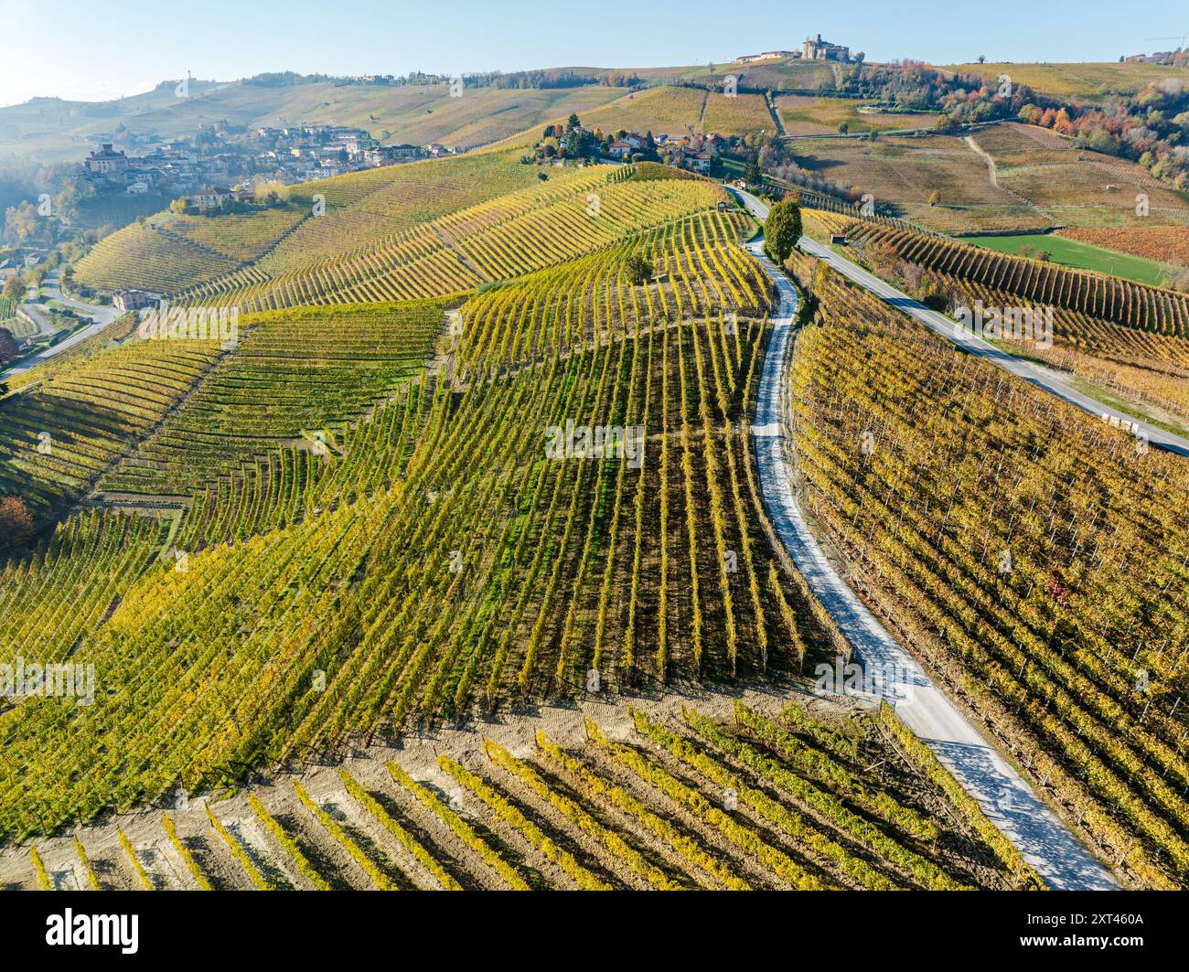 Autumn aerial view of the Cannubi hills in Barolo, Italy, the most ...
