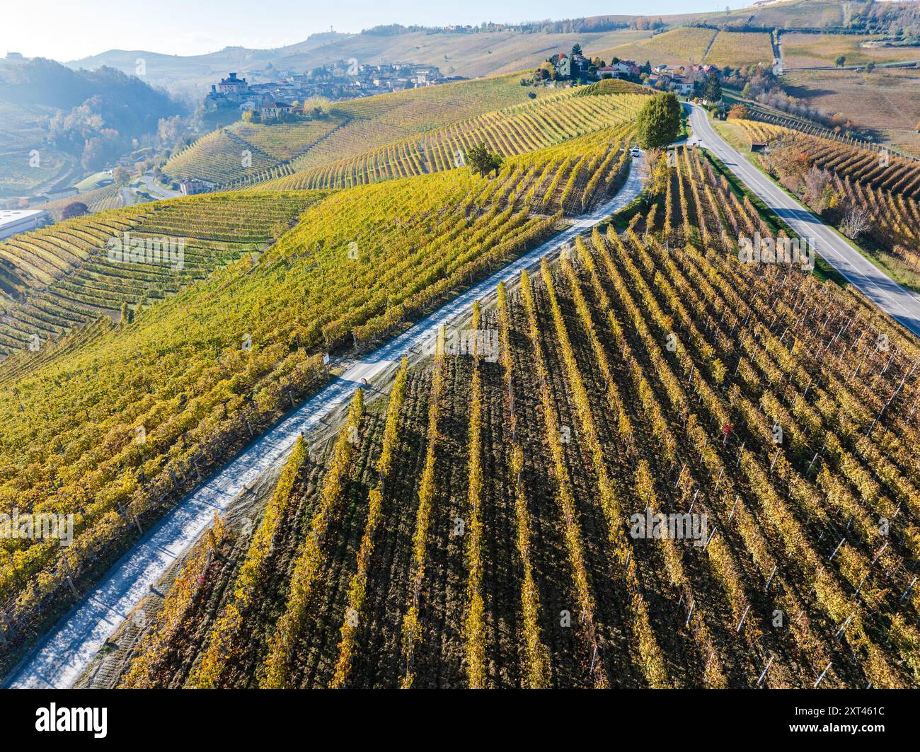 Autumn aerial view of the Cannubi hills in Barolo, Italy, the most ...