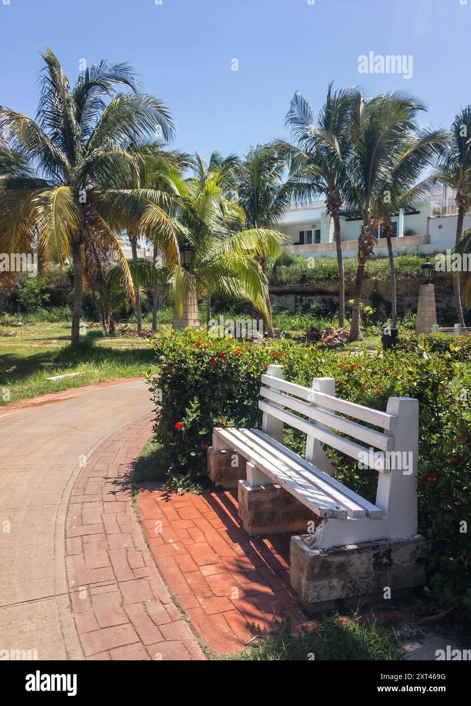 White bench in tropical resort with palm trees, vertical image Stock ...