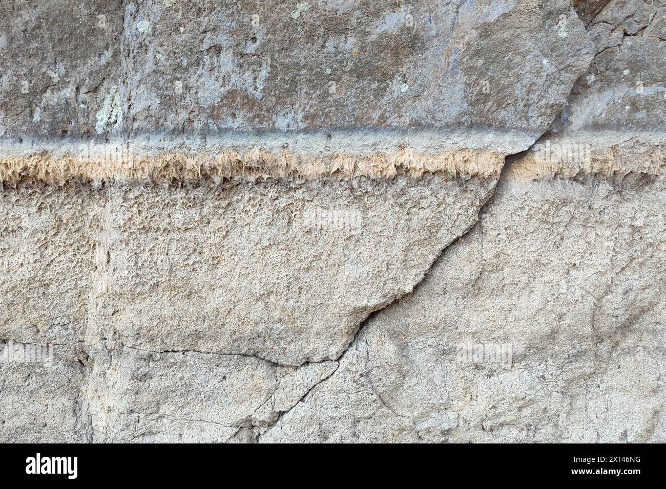 Background wallpaper texture gray granite. Shore texture. Texture of ...