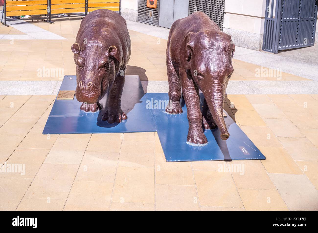 Giant baby animal bronze sculptures around the corner from St Pauls ...