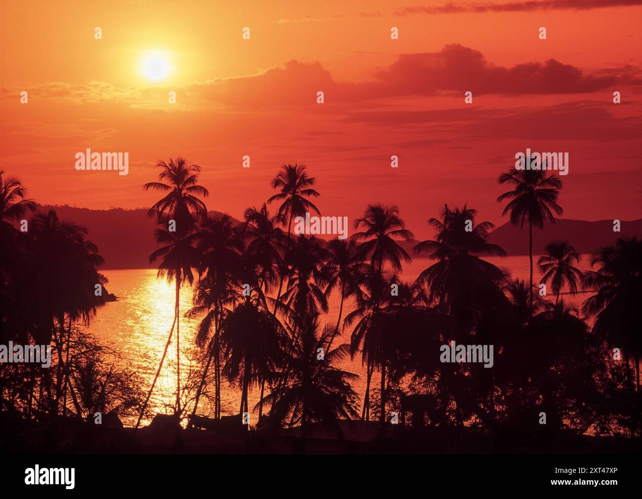 Golden sunset with coconut palm trees in siljhouette, Playa Colorada ...