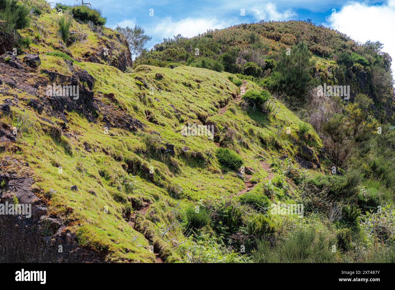 Landscape around the Barragem do Pico da Urze reservoir on the island ...