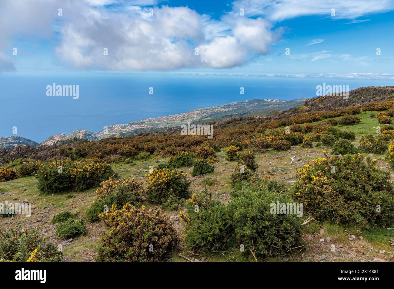Landscape around the Barragem do Pico da Urze reservoir on the island ...