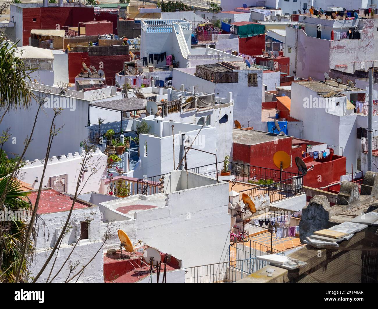 Tangier medina terraces hi-res stock photography and images - Alamy