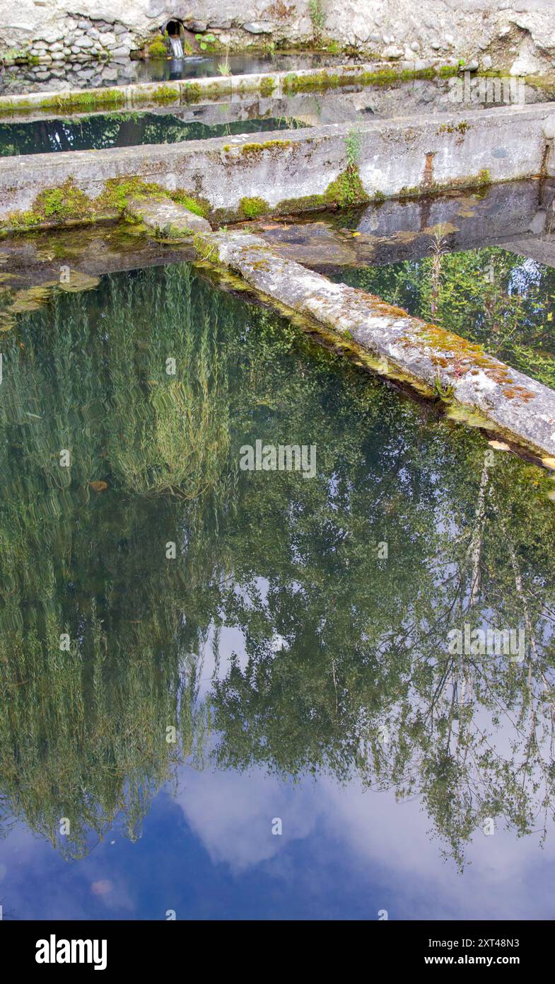 household fish farm, Transylvania, Romania Stock Photo - Alamy