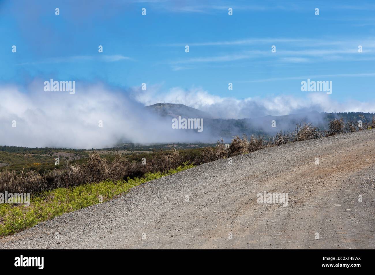 Landscape around the Barragem do Pico da Urze reservoir on the island ...