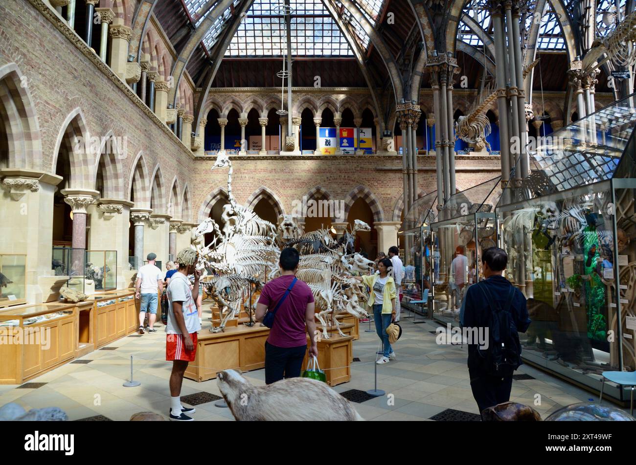 The Oxford University Museum of Natural History in oxford england UK Stock Photo - Alamy