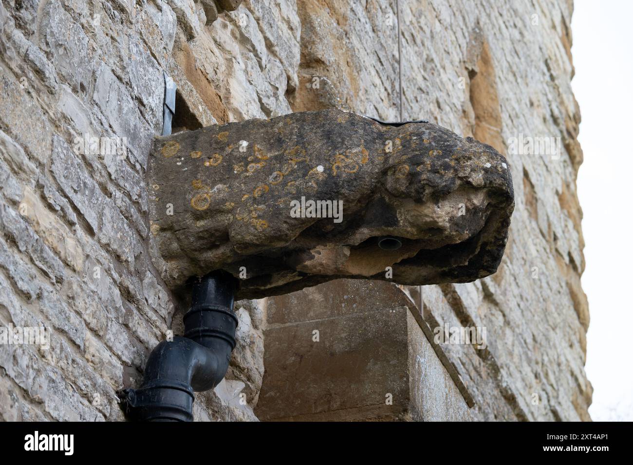 Weathered gargoyle on the west face of St. Mary`s Church, Halford ...