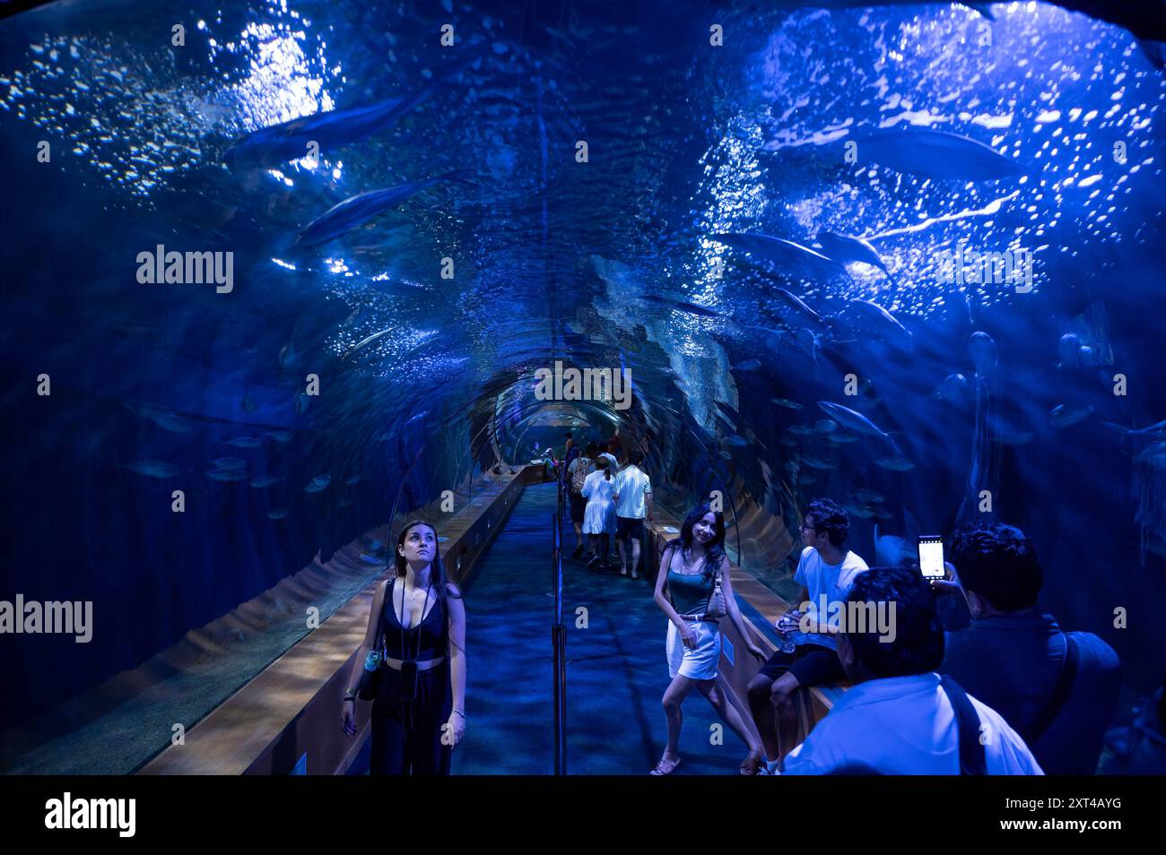 Visitors are seen at L'Oceanogràfic in the City of Arts and Sciences in ...