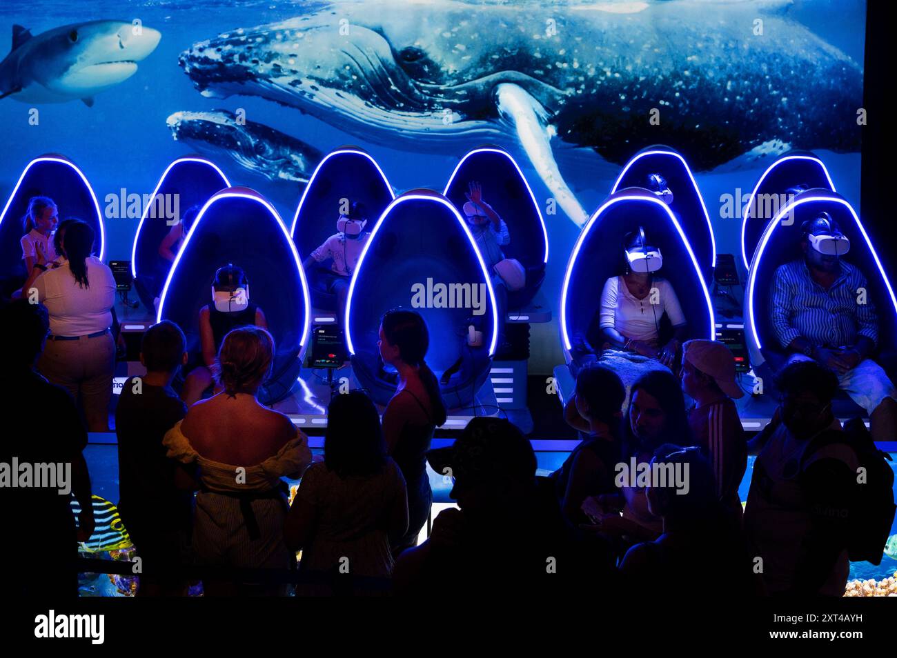Visitors use Virtual Reality (VR) headsets at L'Oceanogràfic in the ...