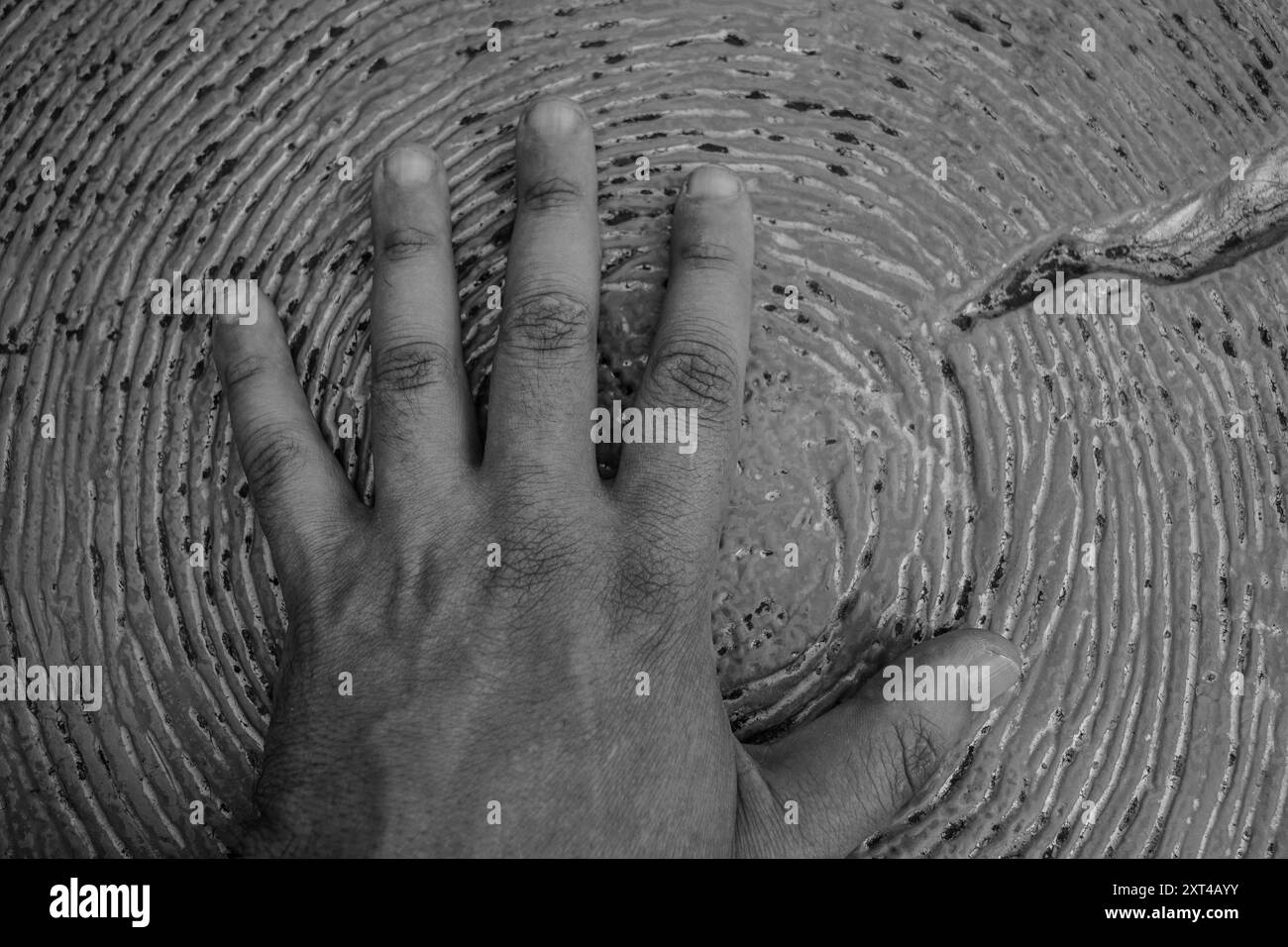 a hand on a tree Stock Photo - Alamy