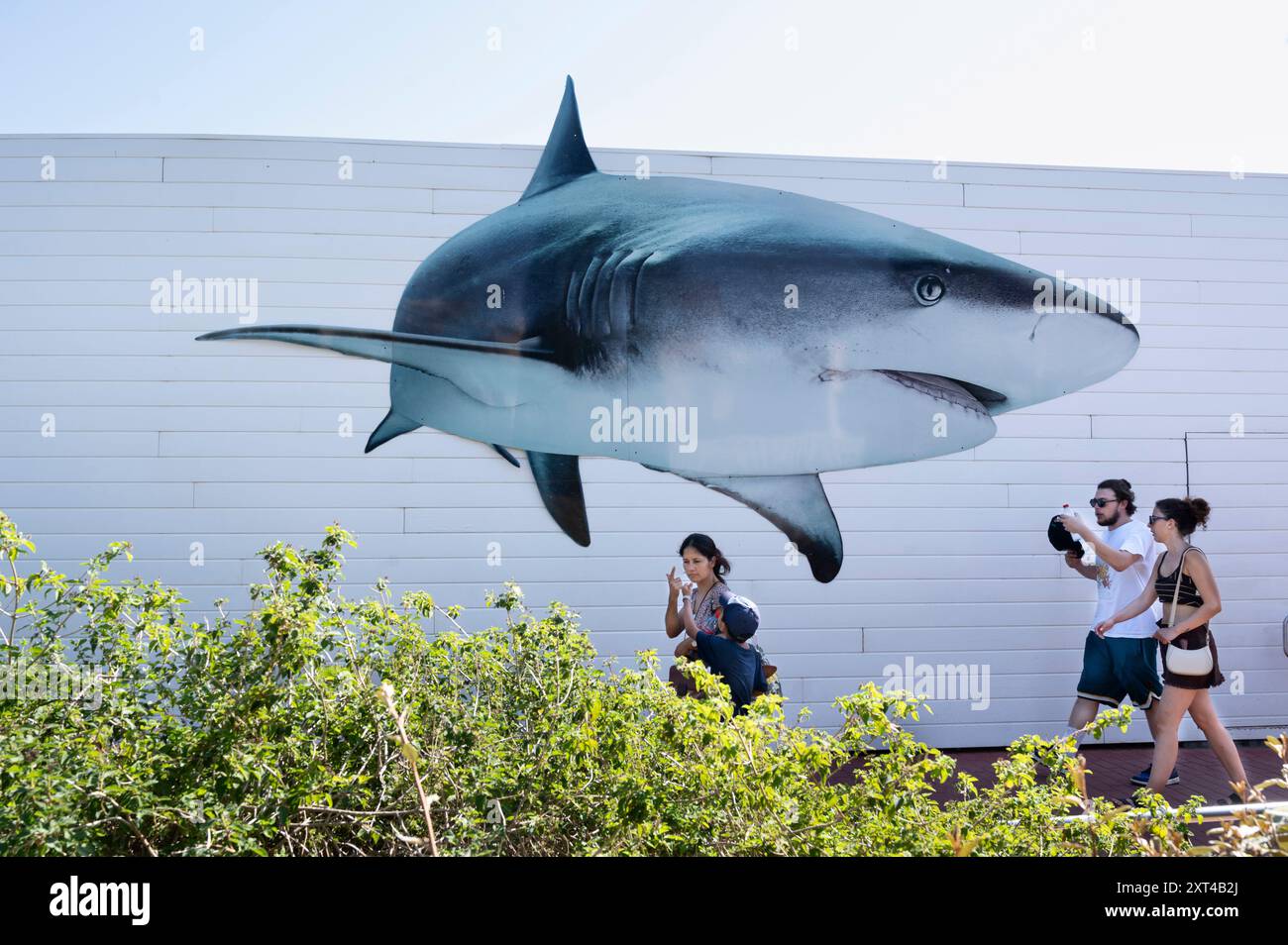 Visitors walk toward the shark aquarium at L'Oceanogràfic in the City ...
