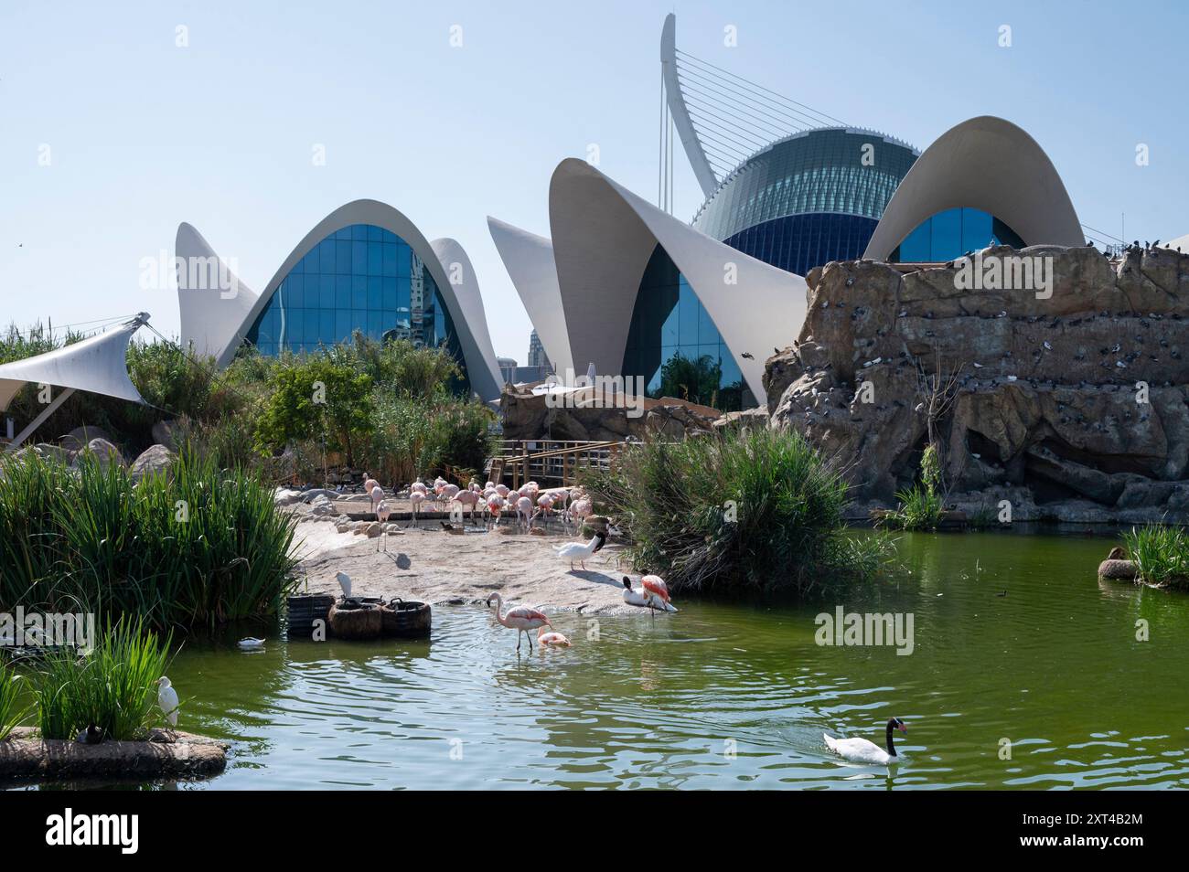 View of the L'Oceanogràfic in the City of Arts and Sciences in Valencia ...