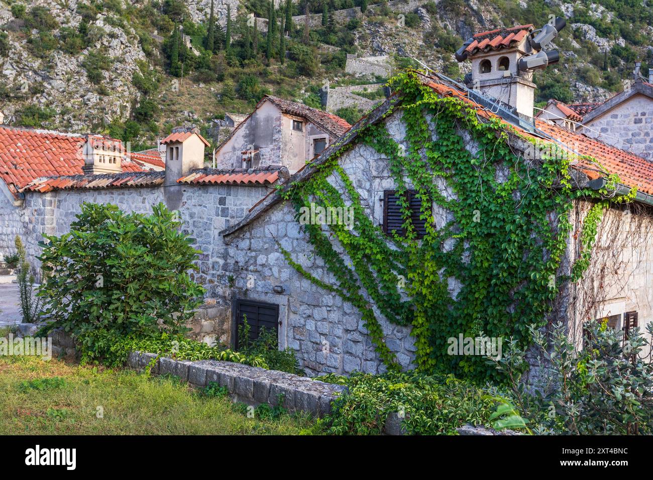 Kotor, Montenegro ancient stone houses of old town Stock Photo - Alamy