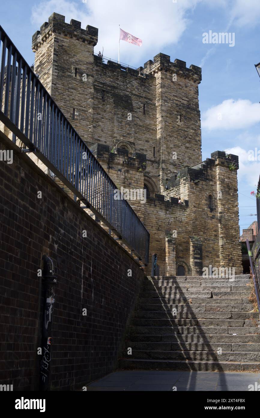 The Castle, Newcastle, or Newcastle Castle is a medieval fortification ...