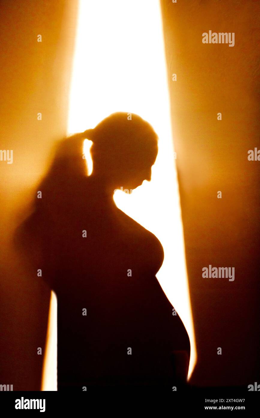 The silhouette of a pregnant woman in the sunlight. A beautiful shadow ...