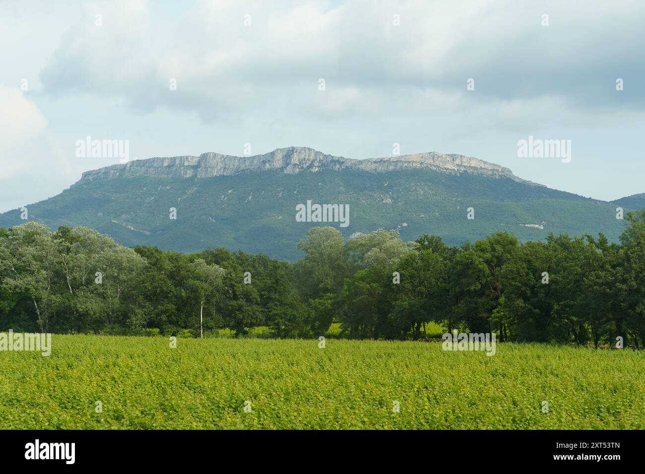 Verdant field stretches hi-res stock photography and images - Alamy