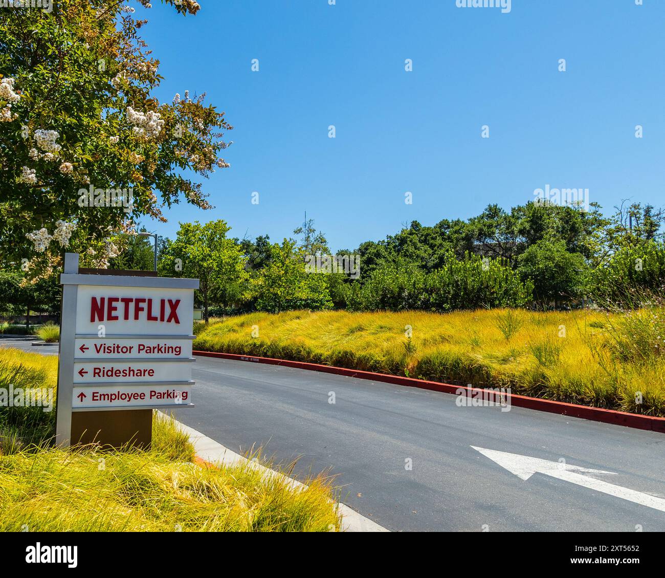 Netflix logo building hi-res stock photography and images - Alamy