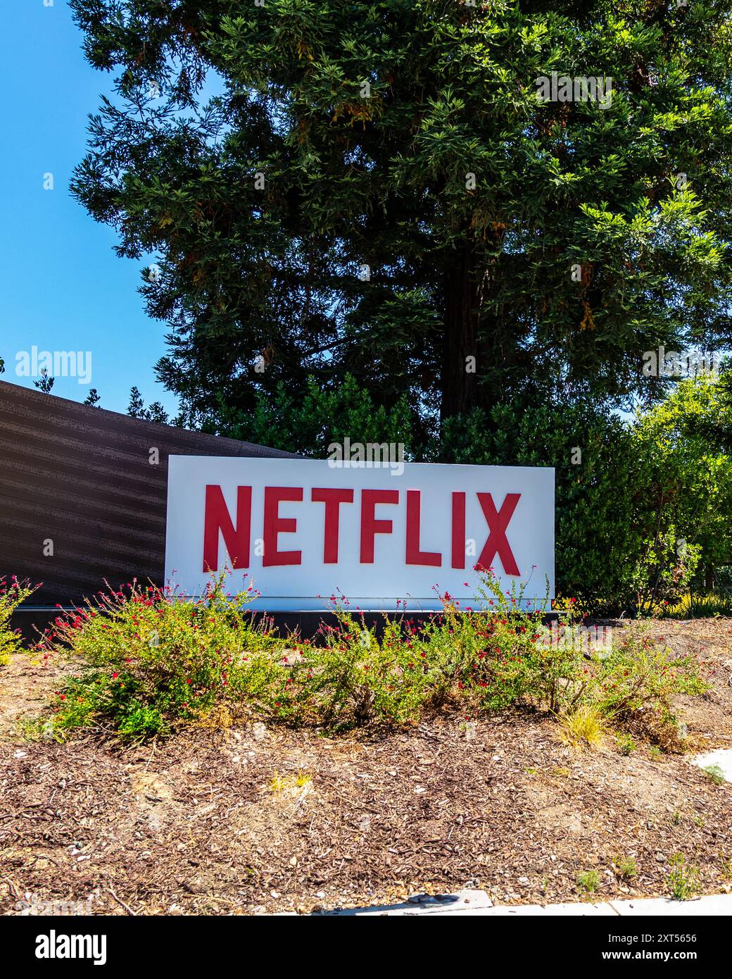 A Netflix sign in Los Gatos California Stock Photo - Alamy
