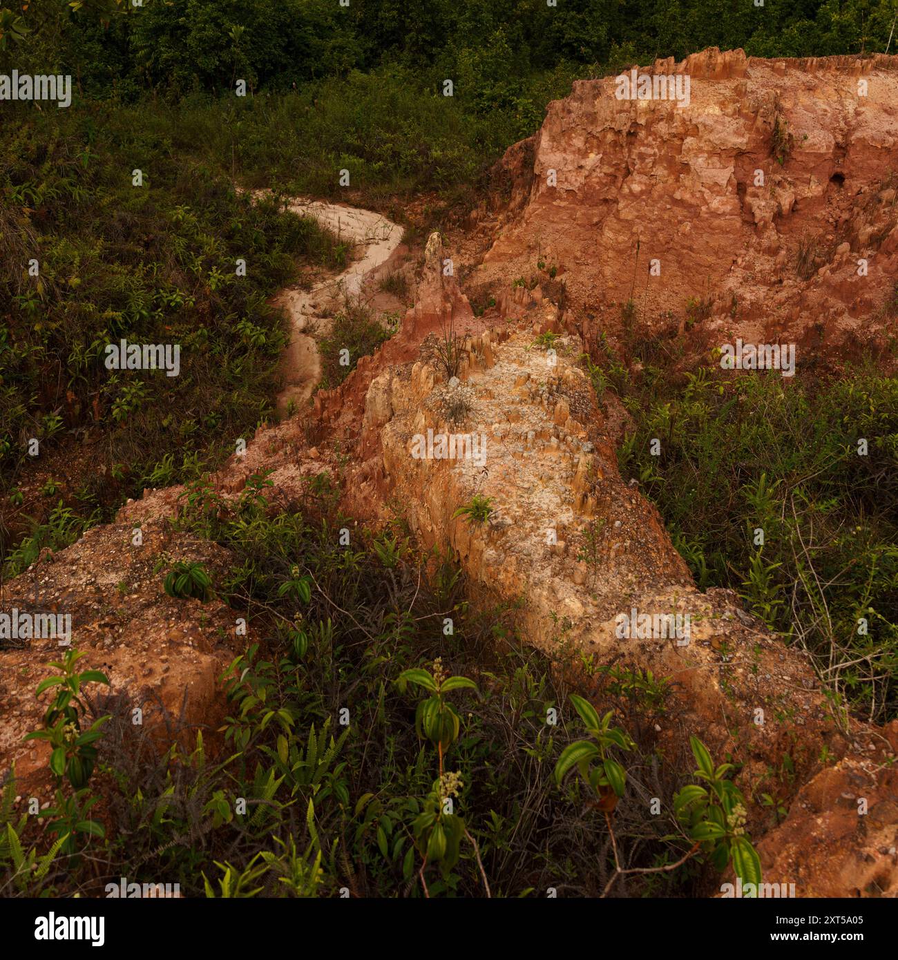Hollow square formation hi-res stock photography and images - Alamy