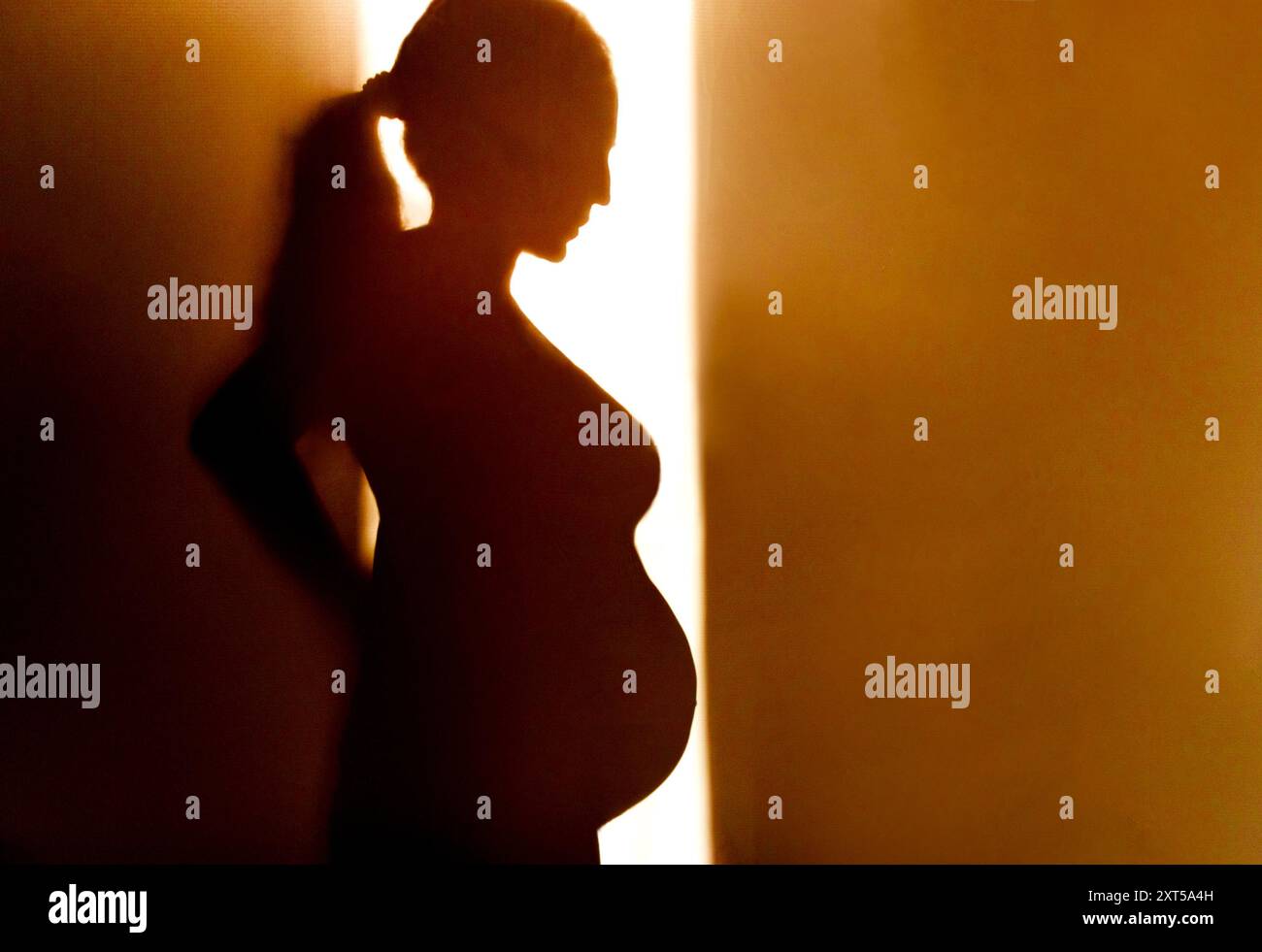 The silhouette of a pregnant woman in the sunlight. A beautiful shadow ...