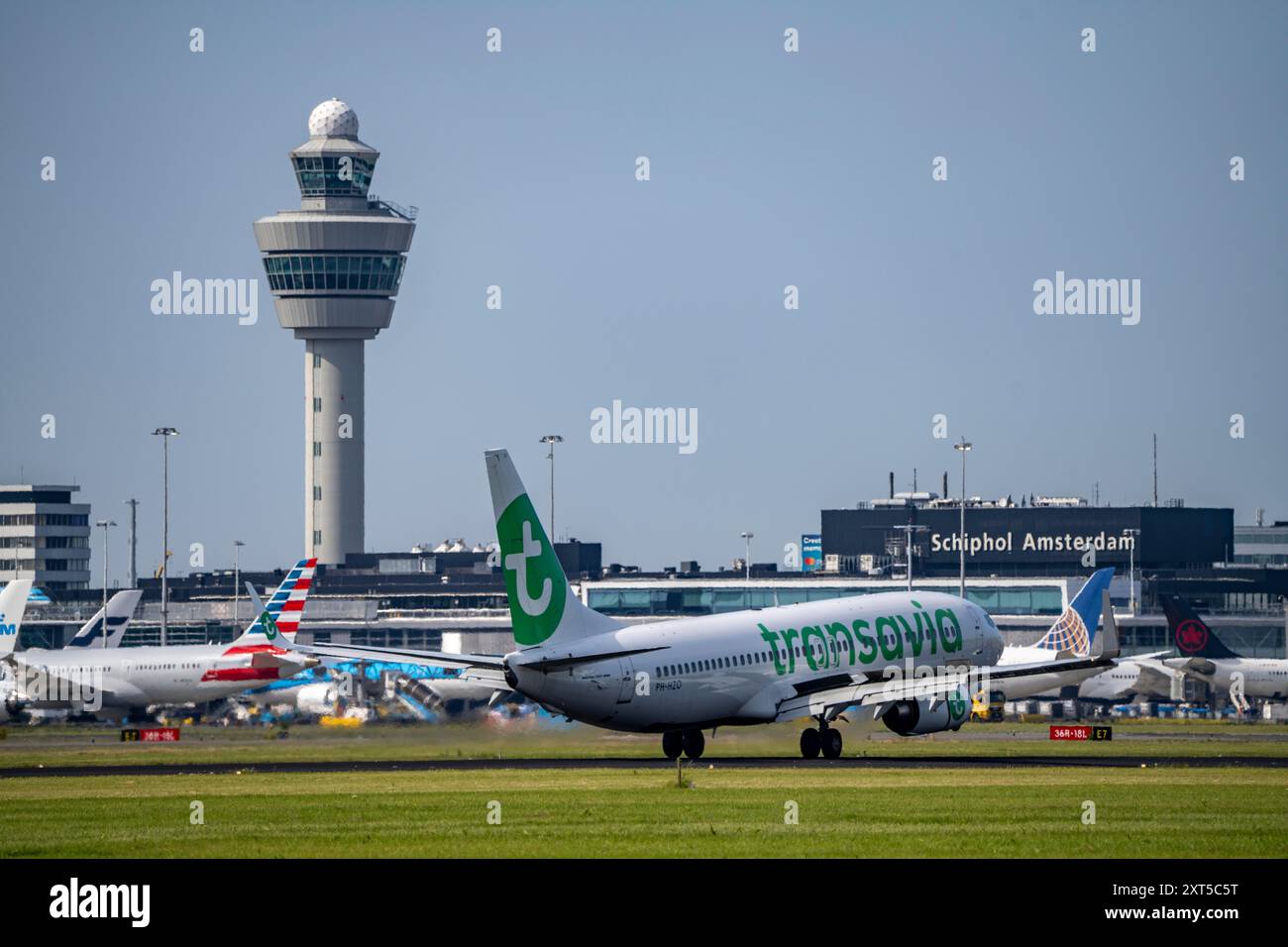 Transavia Boeing 737-800, aircraft landing at Amsterdam Schiphol ...