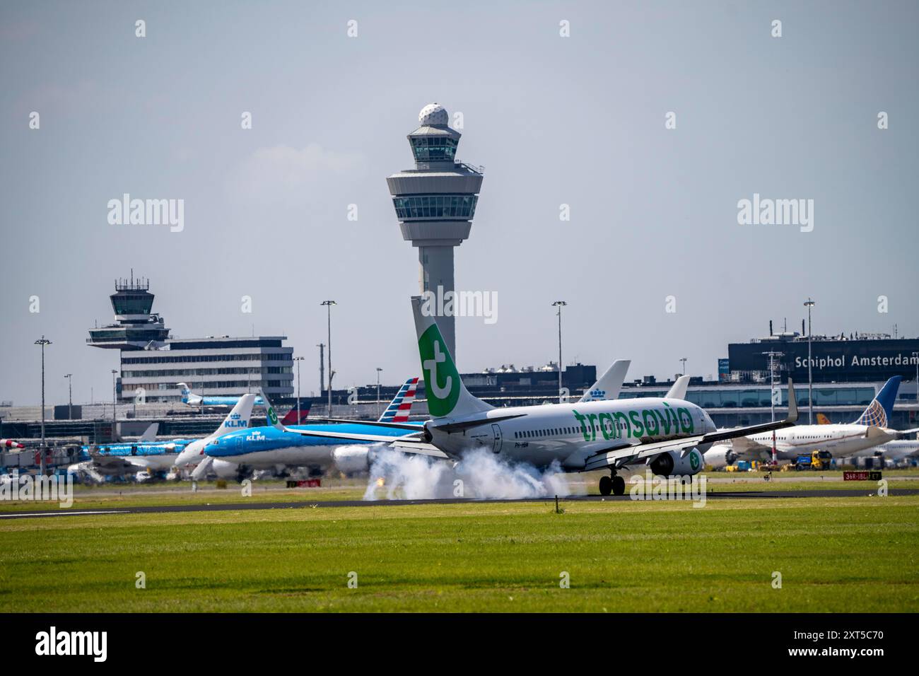 Transavia Boeing 737-800, aircraft landing at Amsterdam Schiphol ...