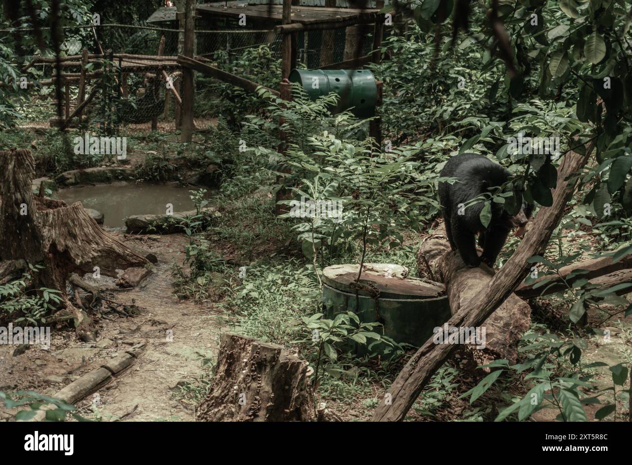 culture and Nature Travel Laos, highlights in Luang Prabang Province ...