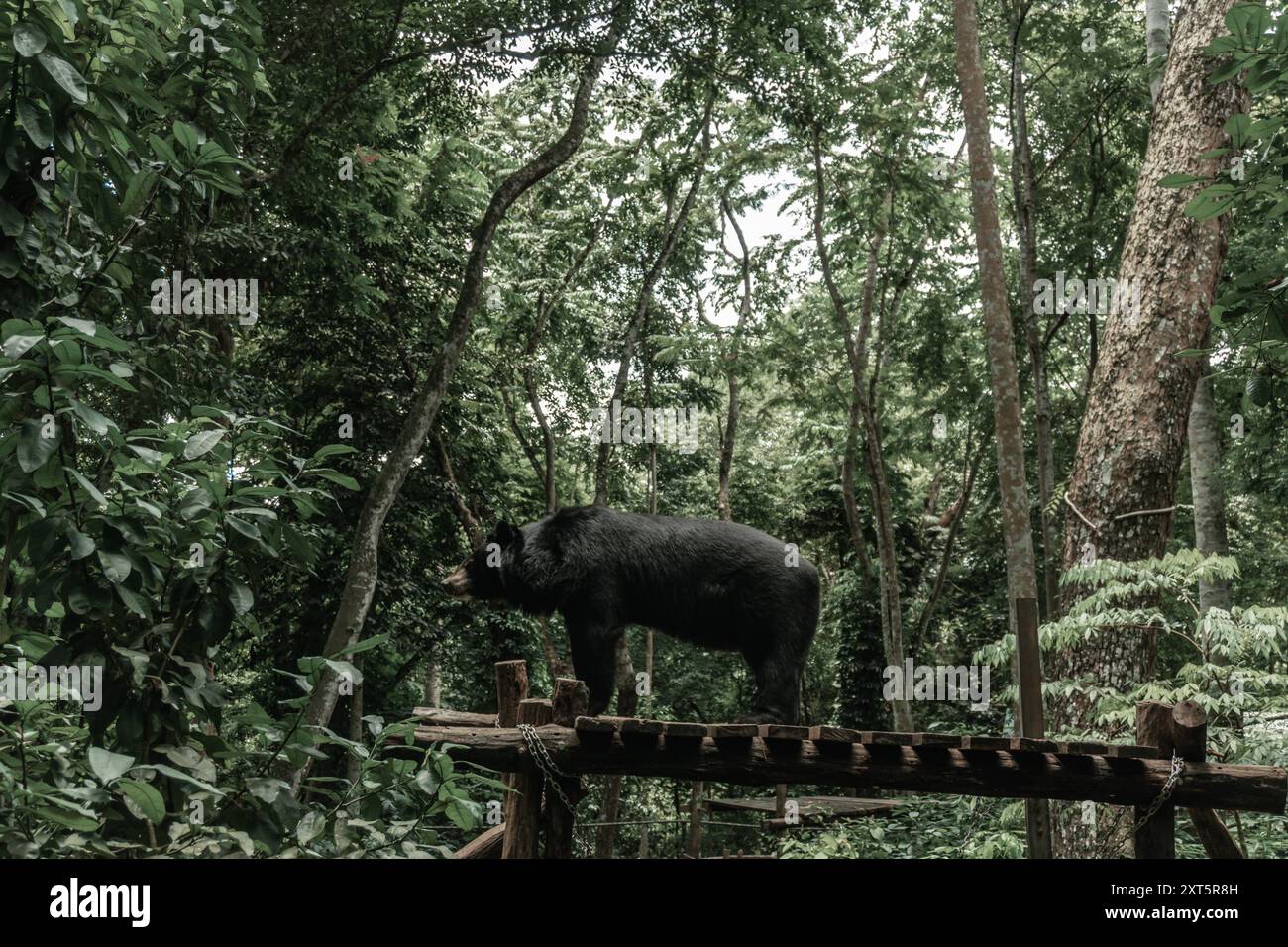 culture and Nature Travel Laos, highlights in Luang Prabang Province ...