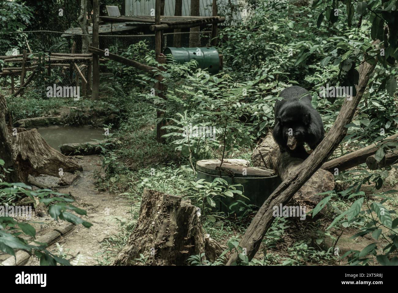 culture and Nature Travel Laos, highlights in Luang Prabang Province ...