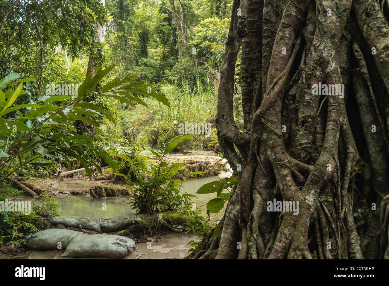 culture and Nature Travel Laos, highlights in Luang Prabang Province ...