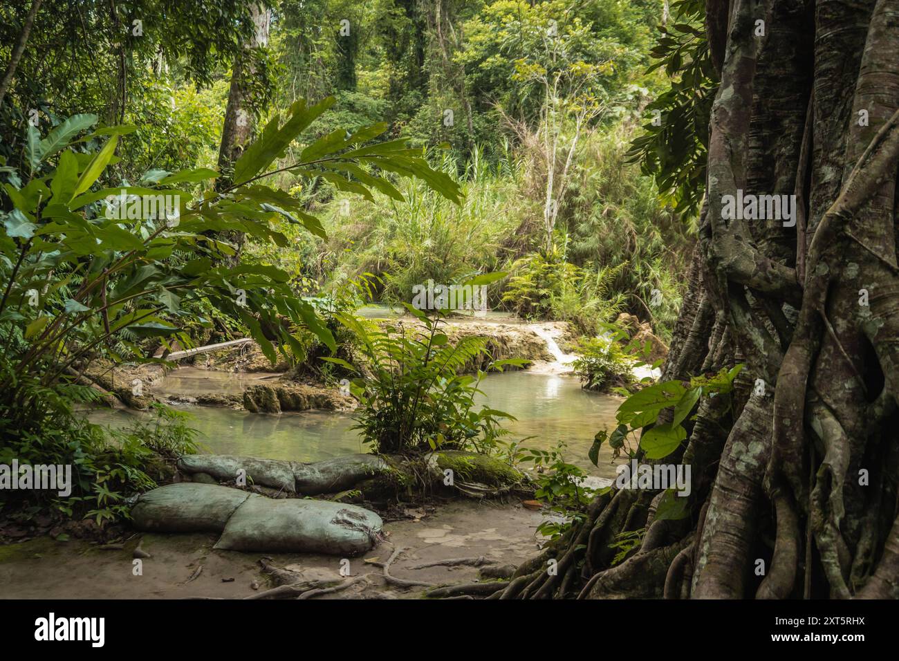 culture and Nature Travel Laos, highlights in Luang Prabang Province ...