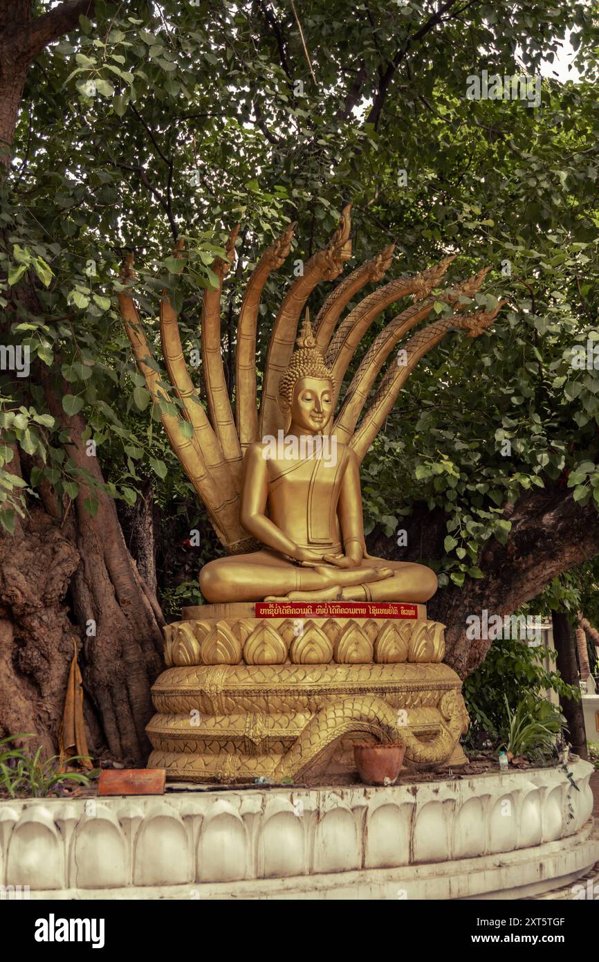 culture Travel Laos, UNESCO World Heritage Site Temples of Luang ...