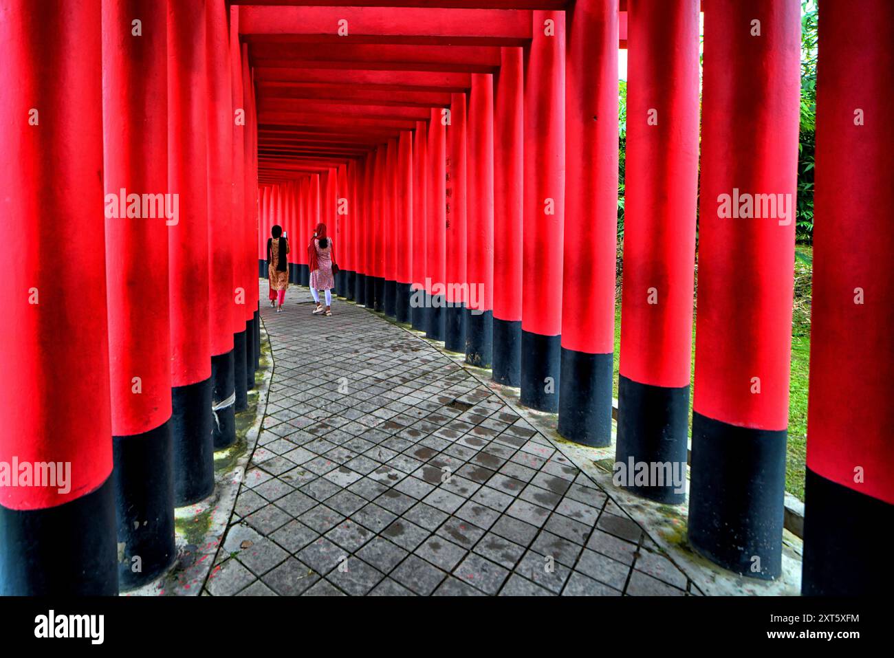 Visitors are seen taking pictures inside the Japanese Forest Garden ...