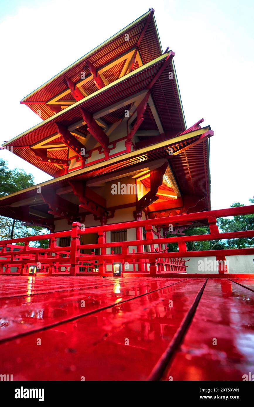 Enthralled by the principles of Japanese culture, a beautiful ...