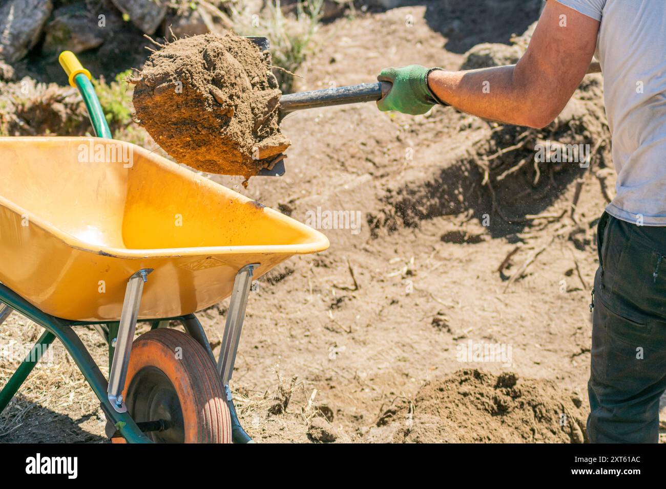 a man shoveling soil into a wheelbarrow at an archaeological dig Stock ...