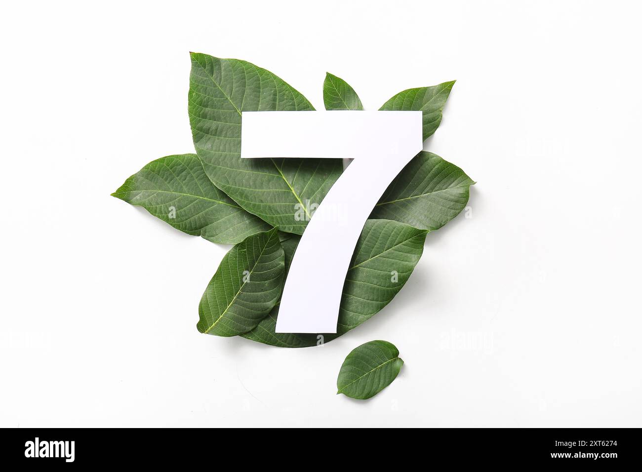 Green leaves with paper number seven on white background. Top view ...