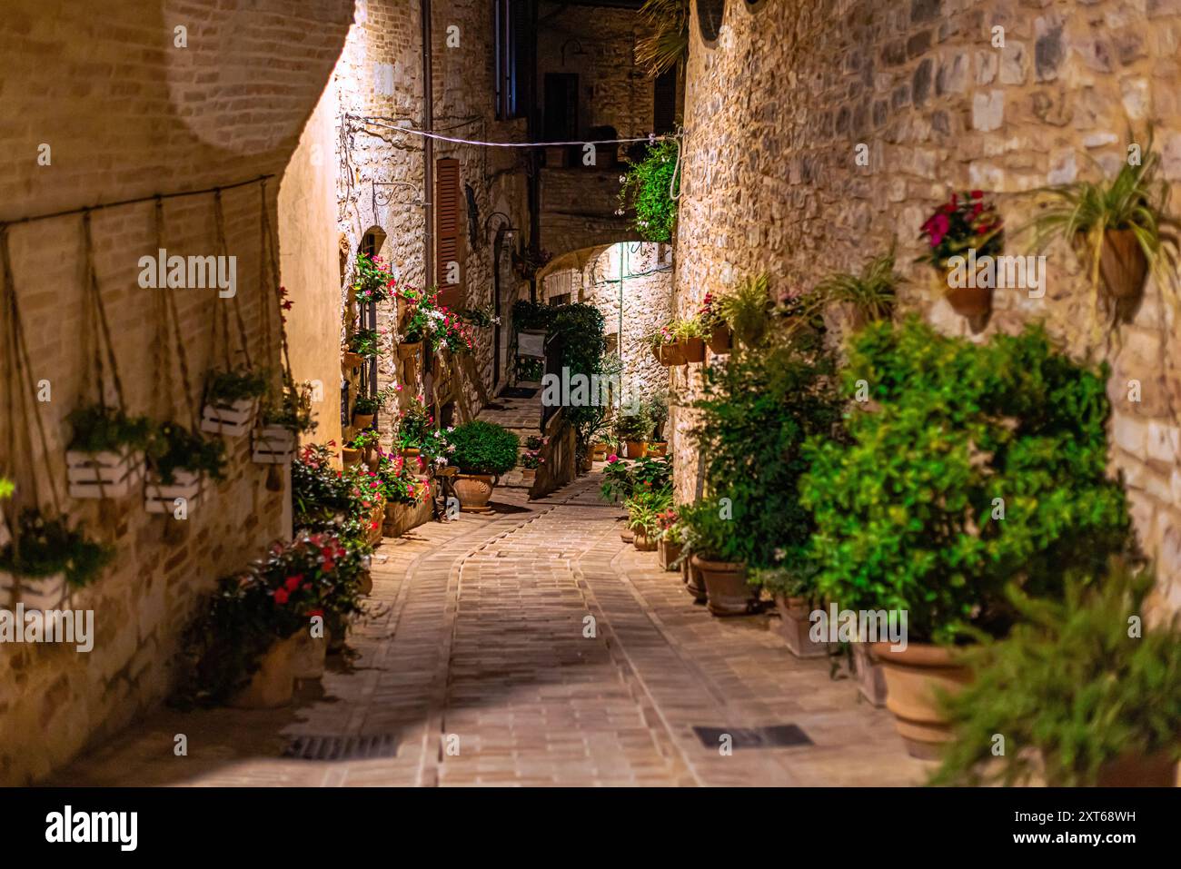 Night view of the medieval town of Spello in Umbria, Italy Stock Photo ...