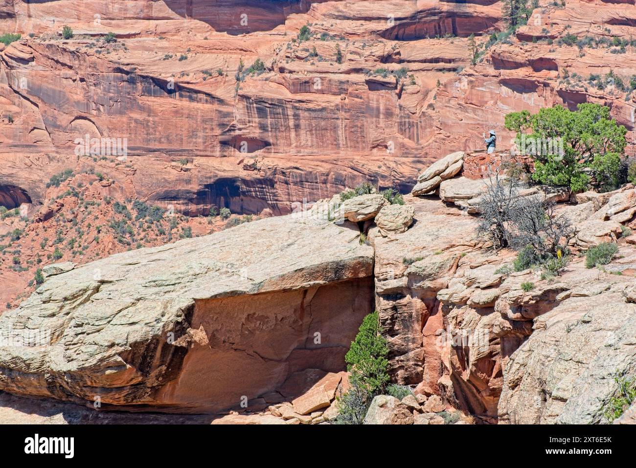 Tourist enjoying the awe inspiring view of sandstone walls in Canyon de ...