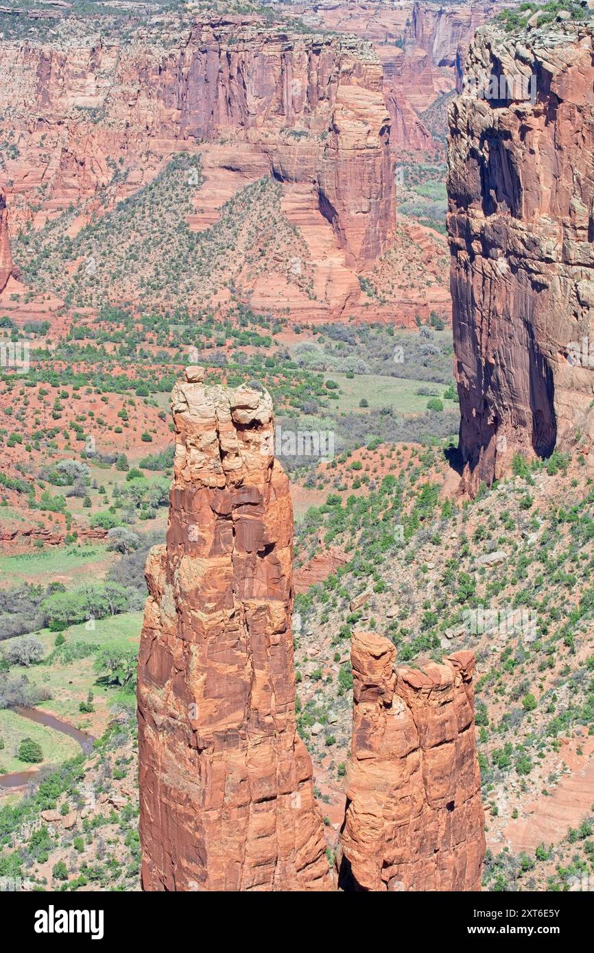 Spider Rock pinnacles tower over springtime green valley floor in ...