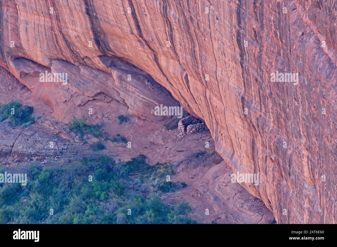 Masonry ruins of cliff dwelling in alcove of Canyon de Chelly walls ...