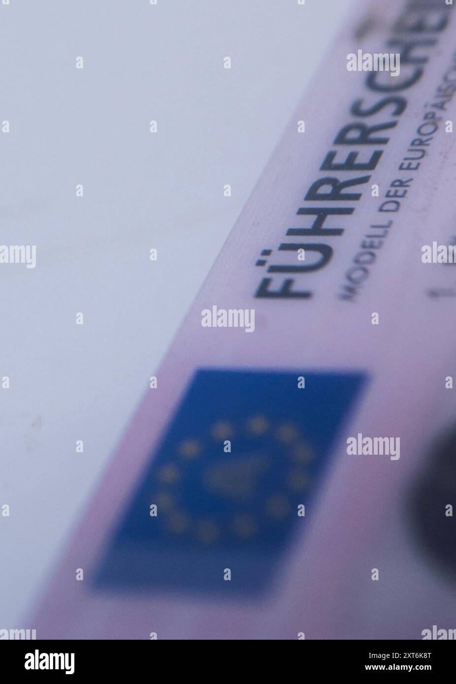 driving license in an styled format for driving driving license in an ...
