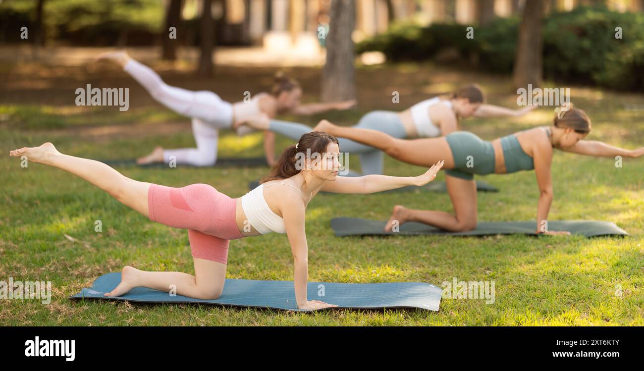 Group of young women doing stretching in park Stock Photo - Alamy