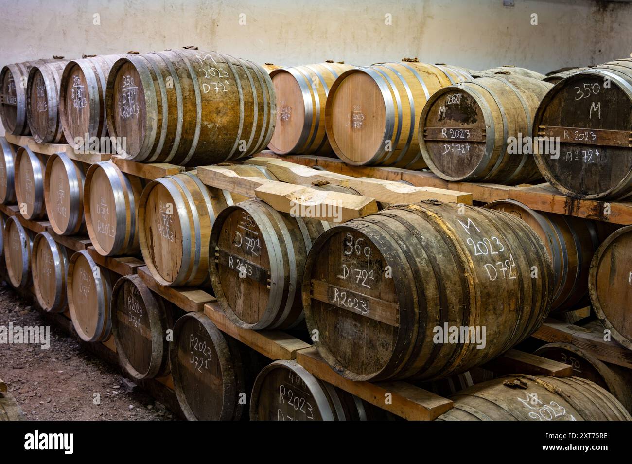 Aging process of cognac spirit in old dark French oak barrels in cool ...