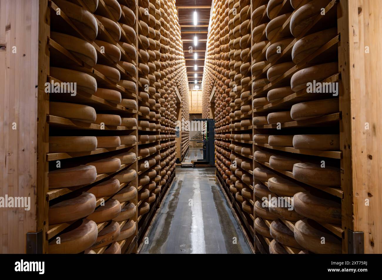 Aging rooms with many shelves in cheese caves, central location for ...