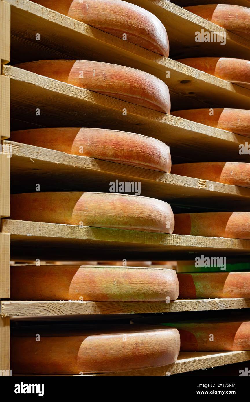 Aging rooms with many shelves in cheese caves, central location for ...