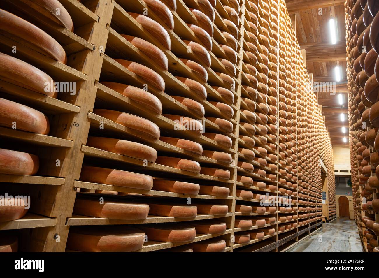 Aging rooms with many shelves in cheese caves, central location for ...