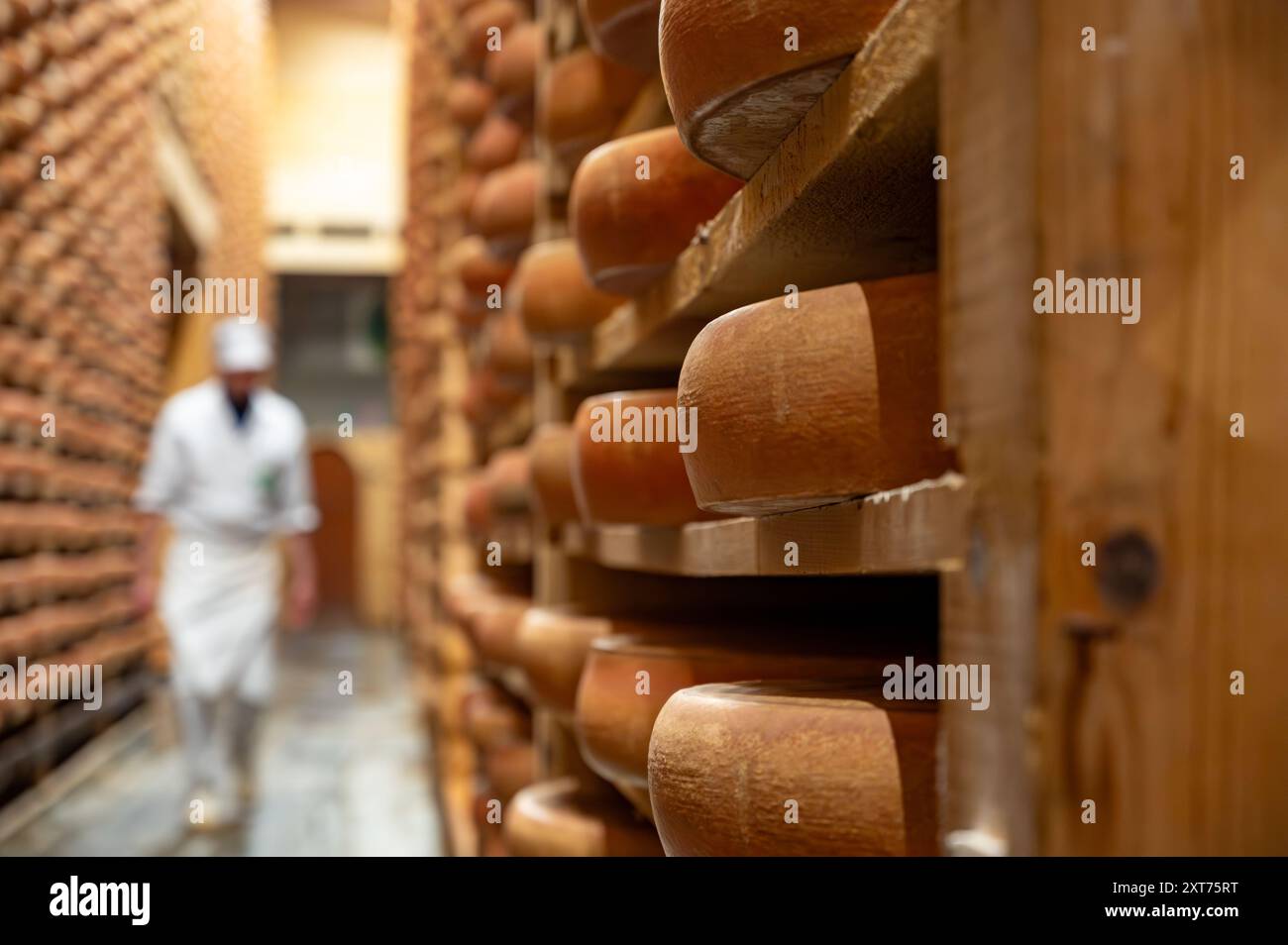 Aging rooms with many shelves in cheese caves, central location for ...
